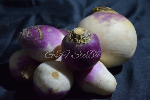 Rapen per stuk - SteBa groenten en fruit